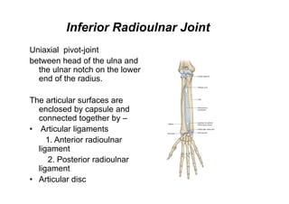 RADIOULNAR JOINTS.pdf.................... | PPT