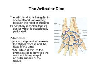 RADIOULNAR JOINTS.pdf.................... | PDF