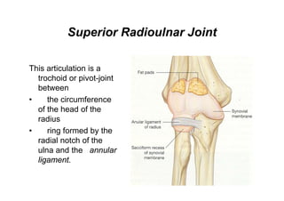 RADIOULNAR JOINTS.pdf.................... | PPT