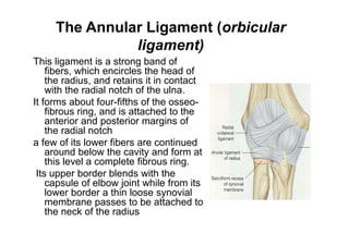 RADIOULNAR JOINTS.pdf.................... | PPT