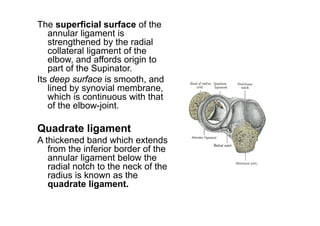 RADIOULNAR JOINTS.pdf.................... | PPT