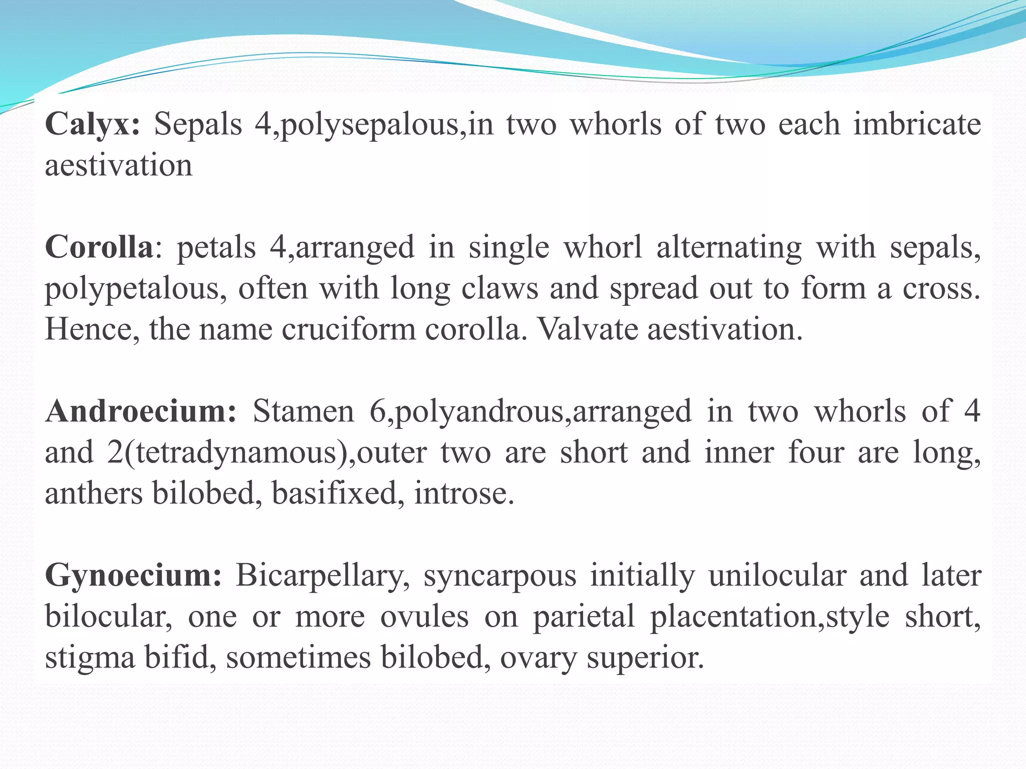 Botanical description of species Radish | PPTX