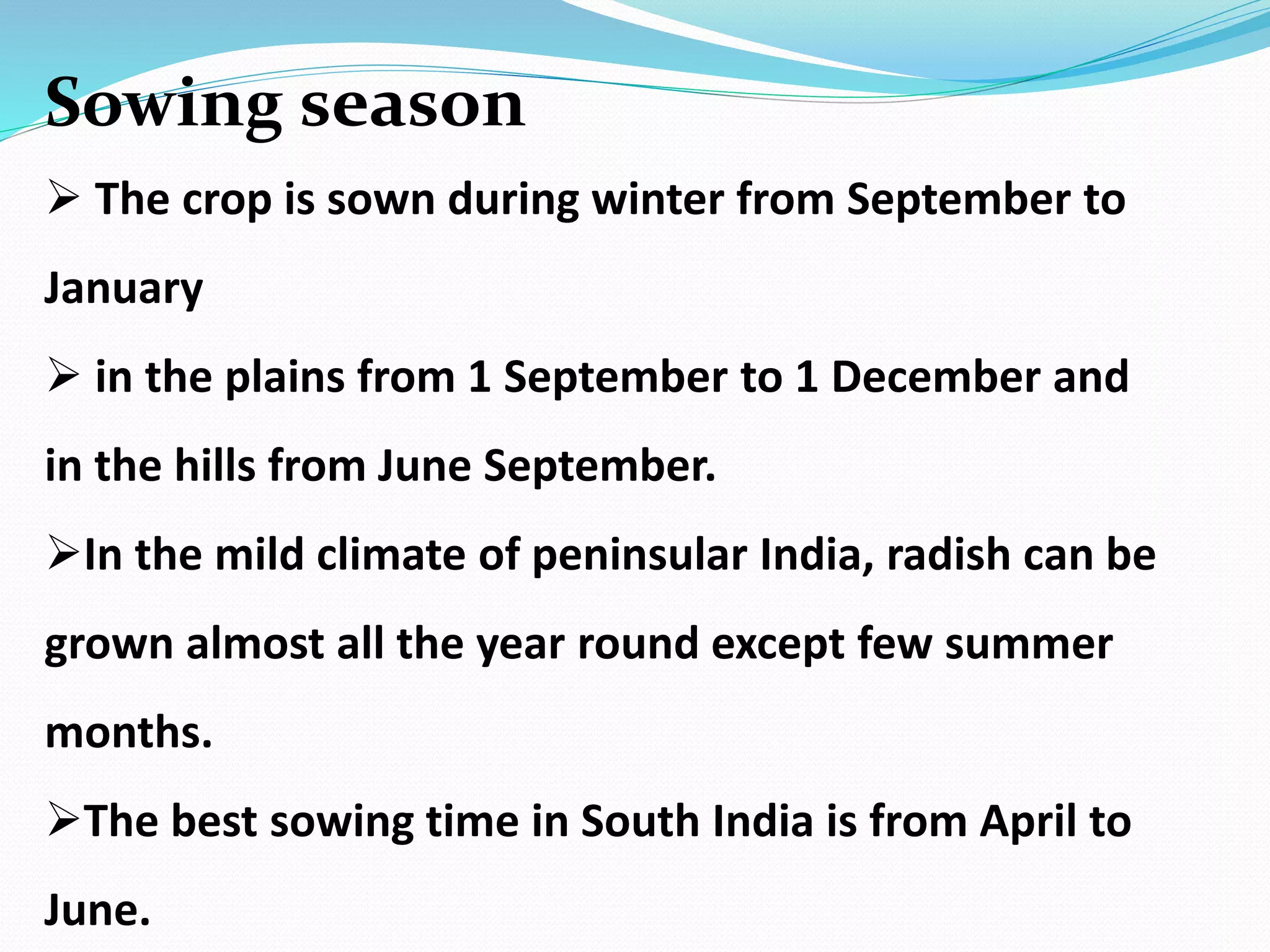 radish production technology | PPTX