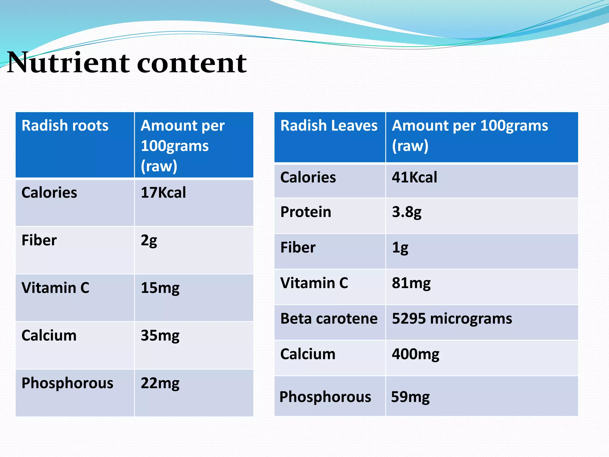 radish production technology | PPTX
