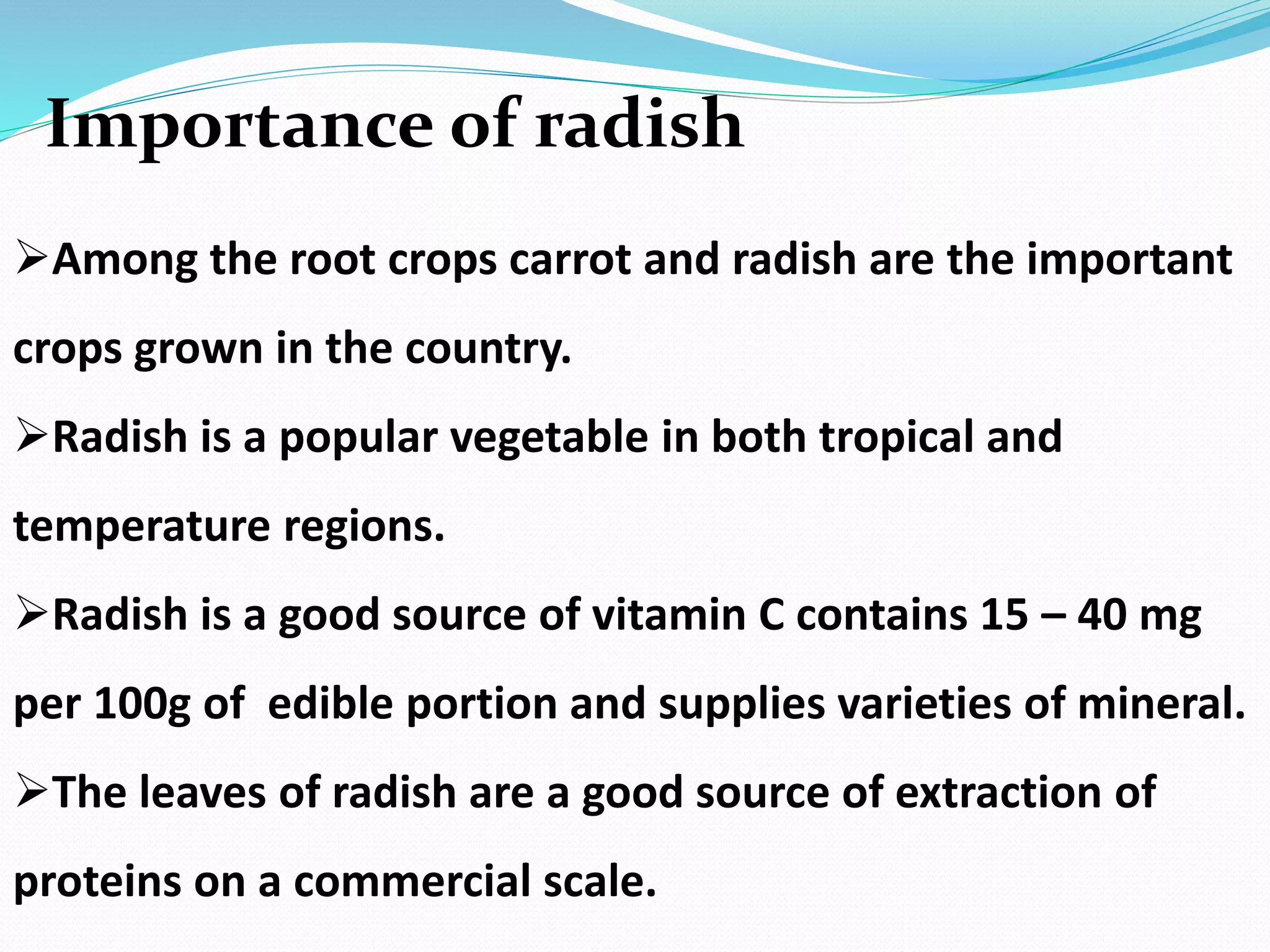 radish production technology | PPTX