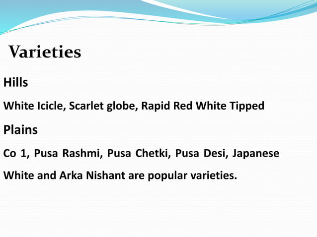 radish production technology | PPTX