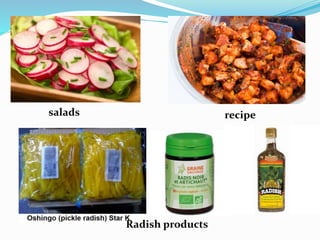 radish production technology | PPTX