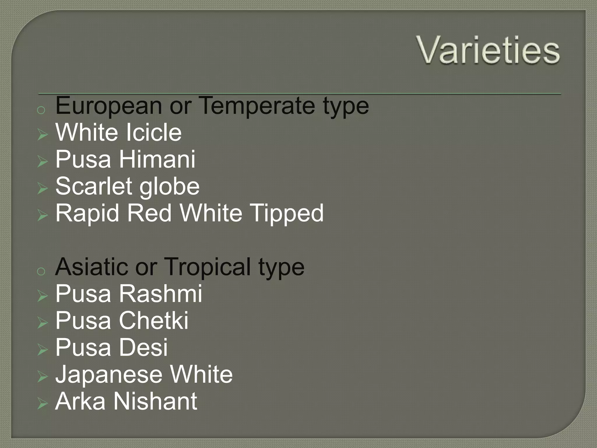 Production Technology of Radish | PPTX