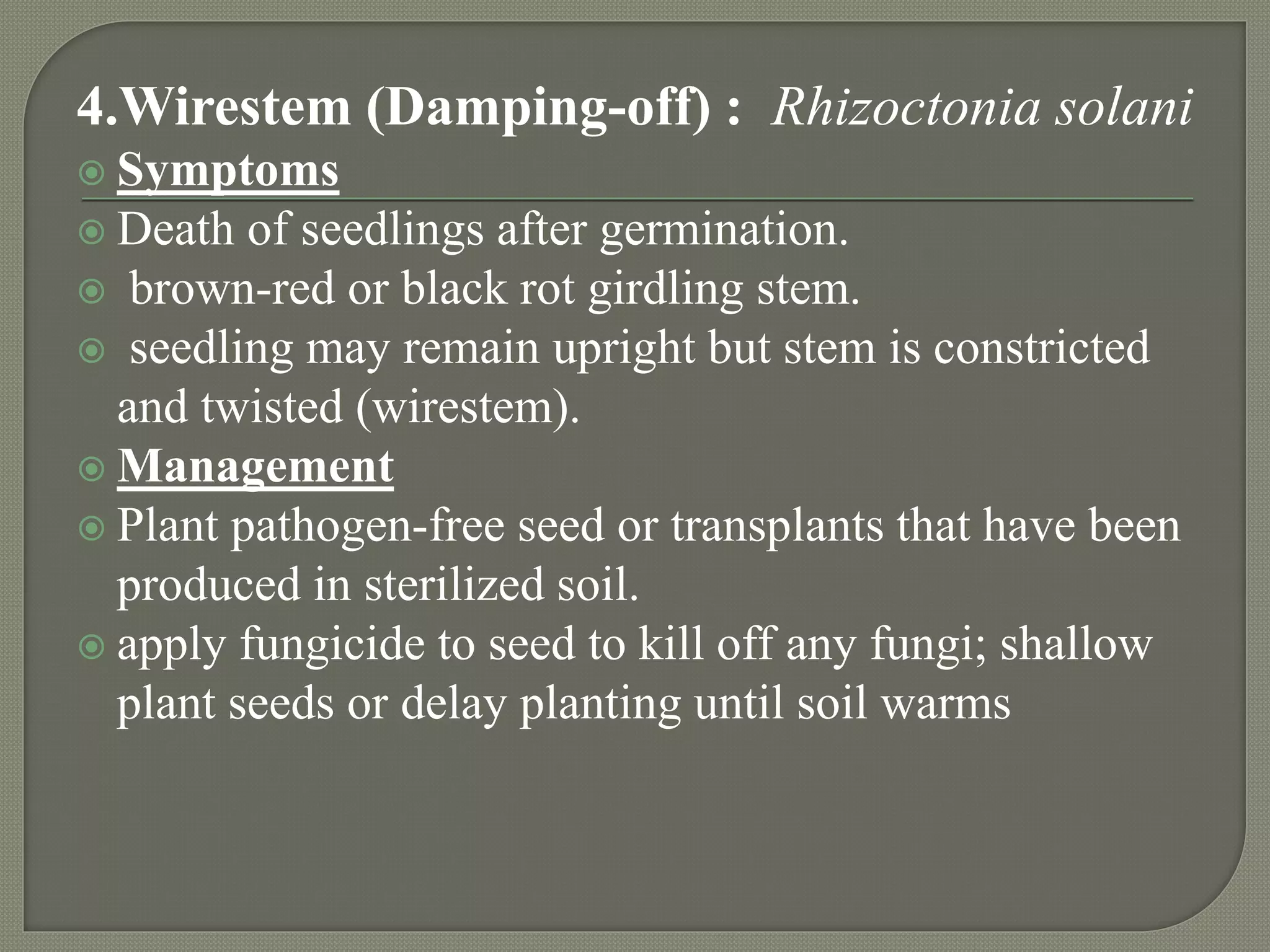 Production Technology of Radish | PPTX