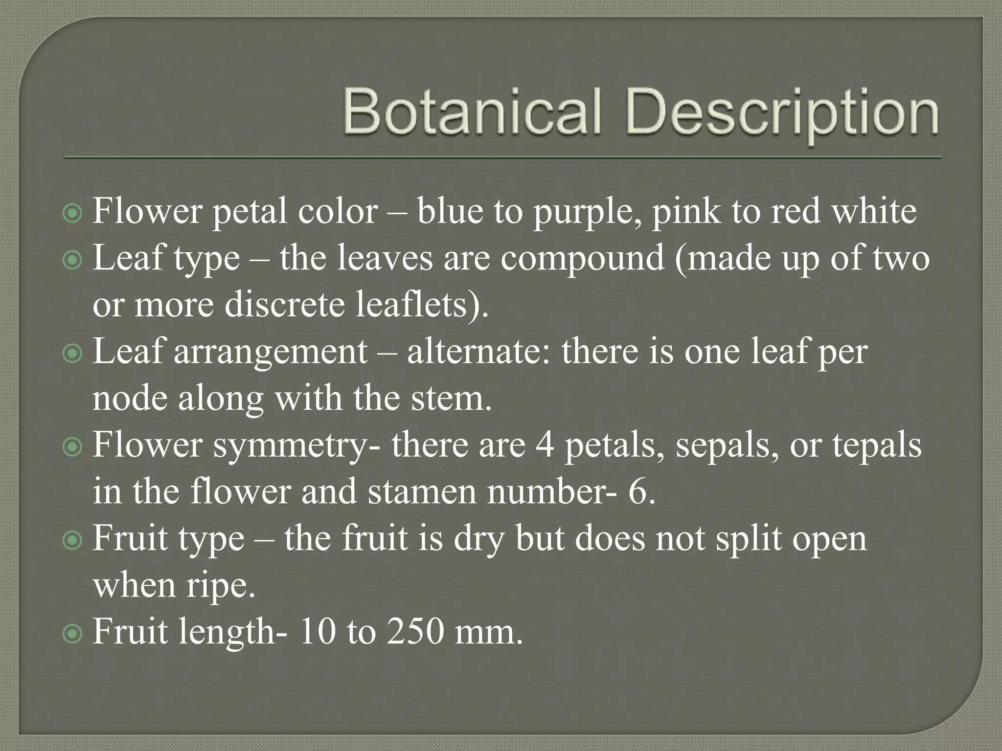 Production Technology of Radish | PPTX