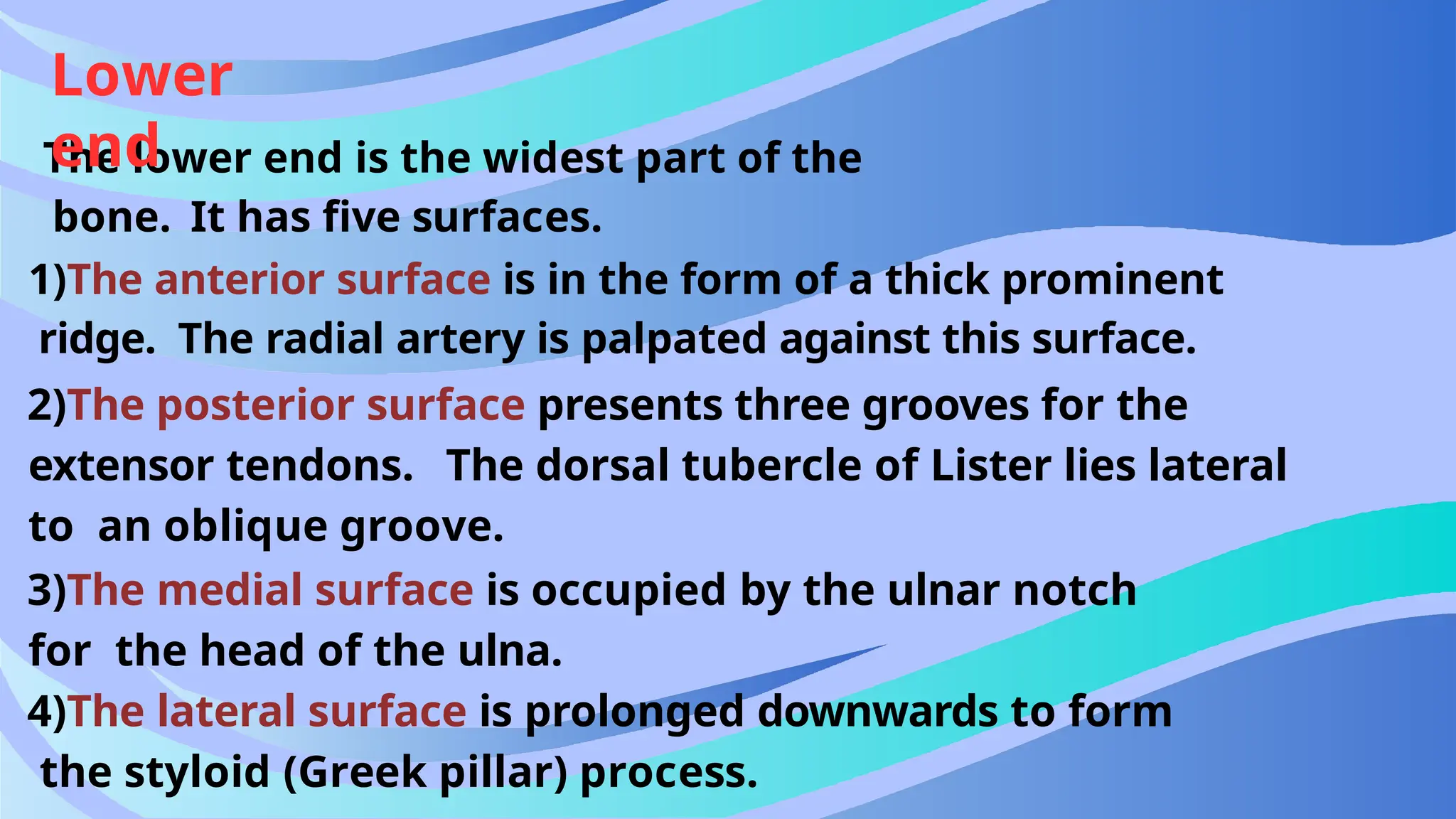 RADIUS BONE Anatomy(02,15,45,51) (1).pptx