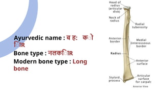RADIUS BONE Anatomy(02,15,45,51) (1).pptx