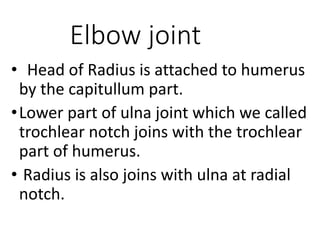 Radius and ulna.pptx
