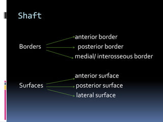 Radius bone anatomy | PPTX