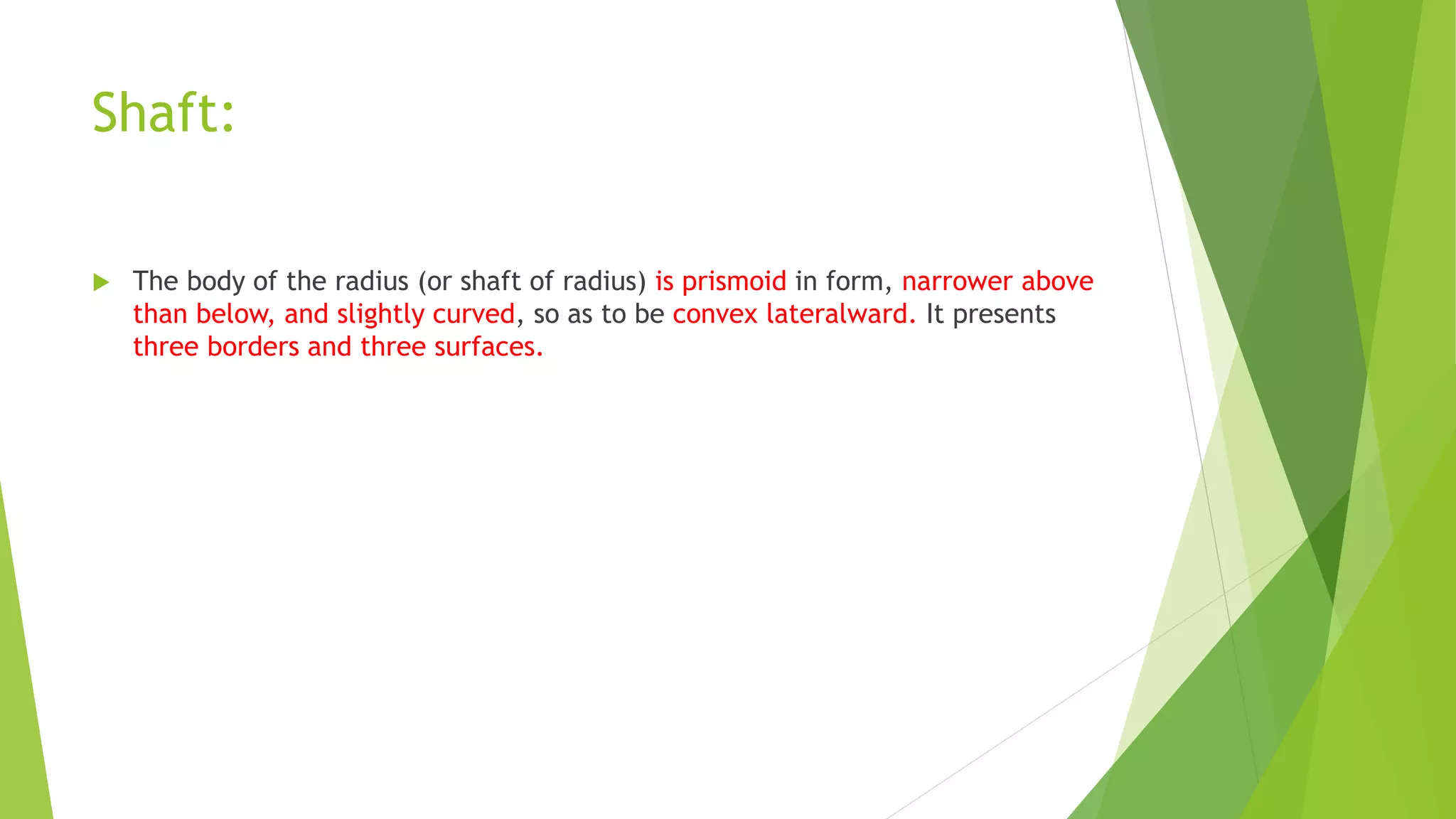 Anatomy of the Radius Bone | PPTX