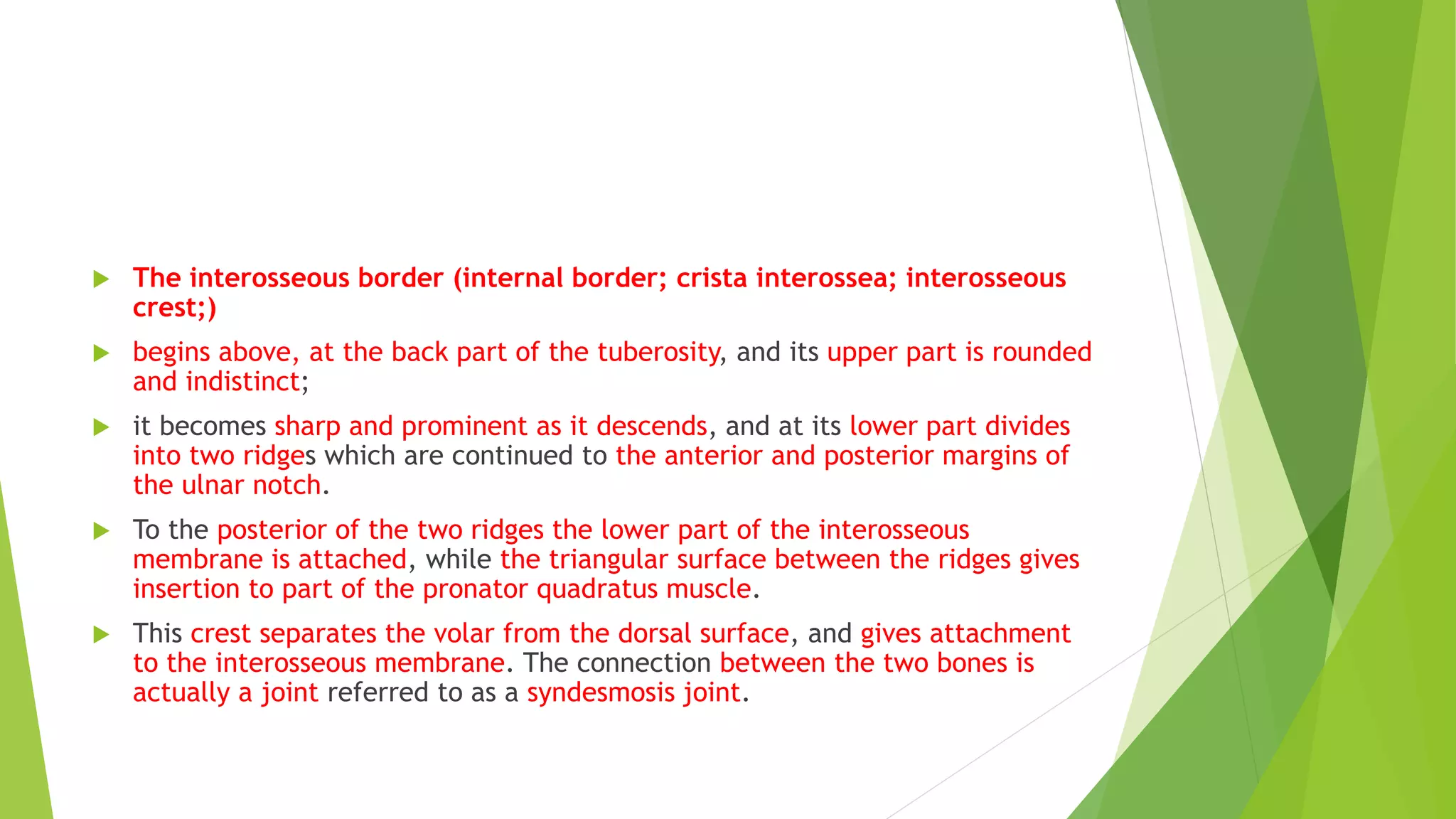 Anatomy of the Radius Bone | PPTX
