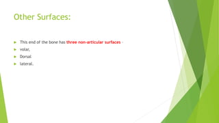 Anatomy of the Radius Bone | PPTX