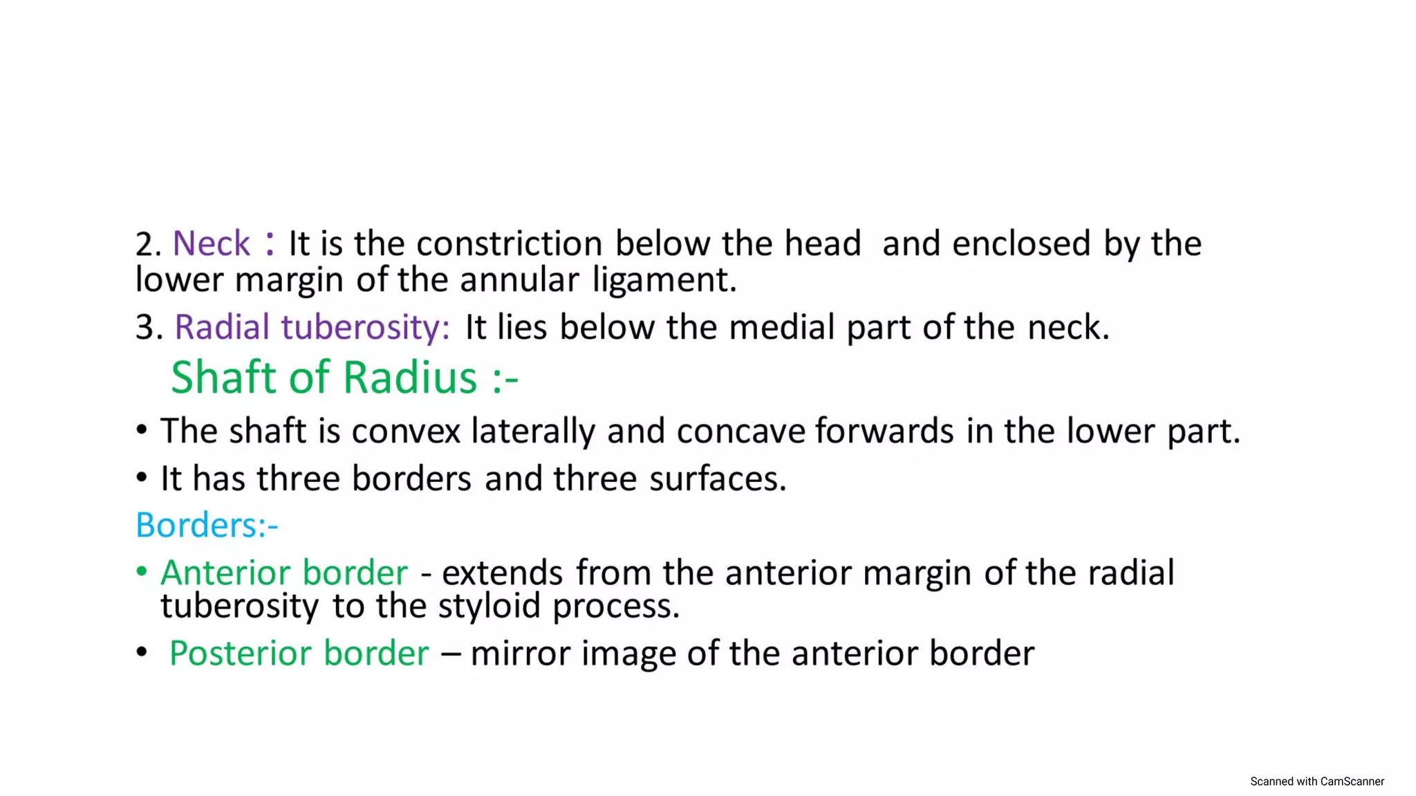 Radius bone structure | PDF