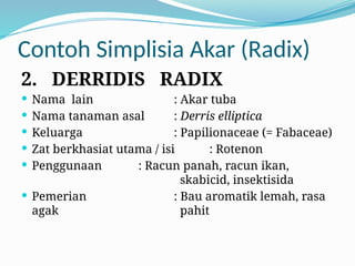 Farmakognosi kelas X Materi Simplisia Radix (Akar) | PPTX