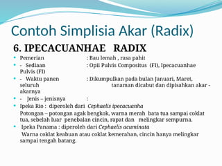 Farmakognosi kelas X Materi Simplisia Radix (Akar) | PPTX