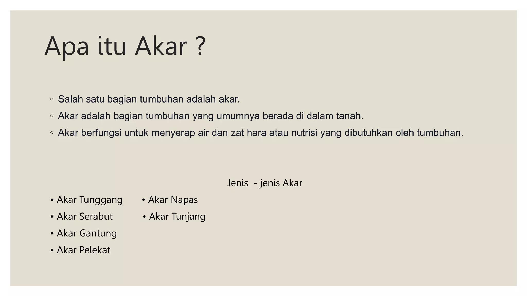 RADIX (AKAR) Muhammad Rezky Darmawan (207200061).pptx