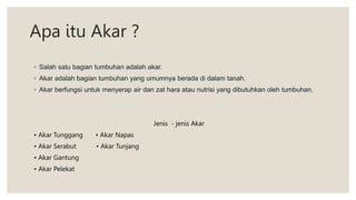 RADIX (AKAR) Muhammad Rezky Darmawan (207200061).pptx
