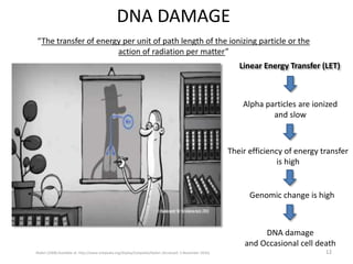 Radon "Why is it so Dangerous?" | PPTX
