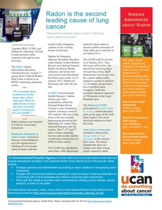 Radon success story | PDF