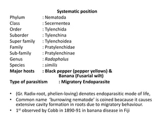 Radopholus | PPTX