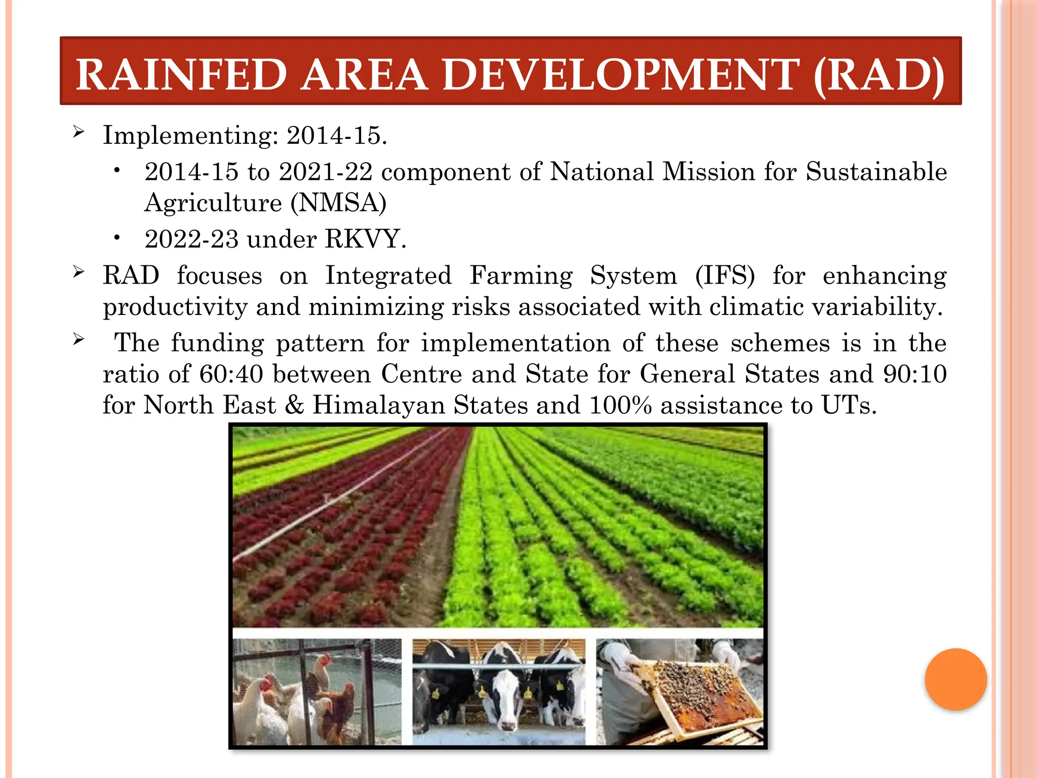 RAD_PPT.pptx detailed education based rad | PPT