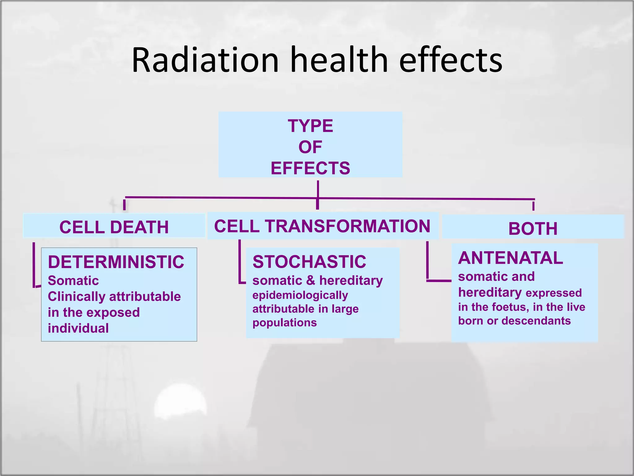 Radiation Protection | PPTX