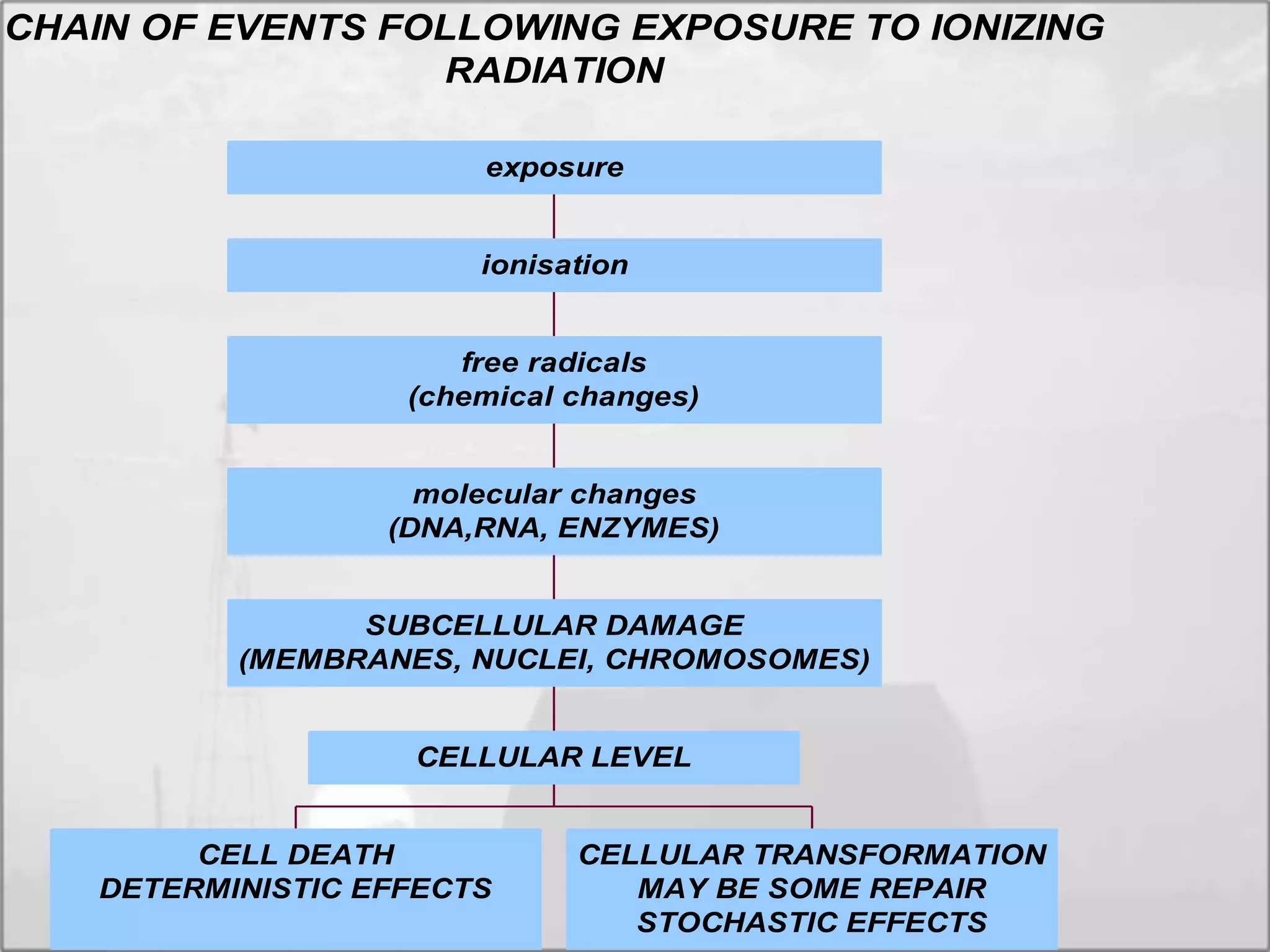 Radiation Protection | PPTX