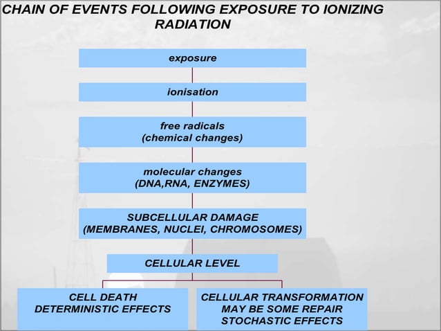 Radiation Protection | PPTX | Medical Tests | Medical Health