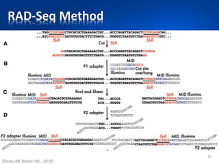 RADseq.pptx