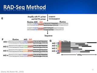 RADseq.pptx