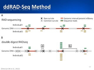 RADseq.pptx
