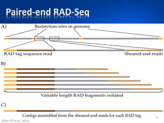 RADseq.pptx