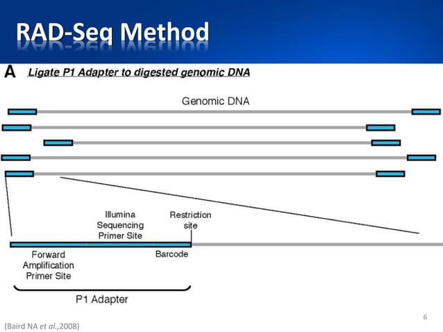 RADseq.pptx