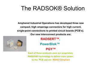 Radsok Presentation Ipe | PPT | Computer Peripherals | Computing