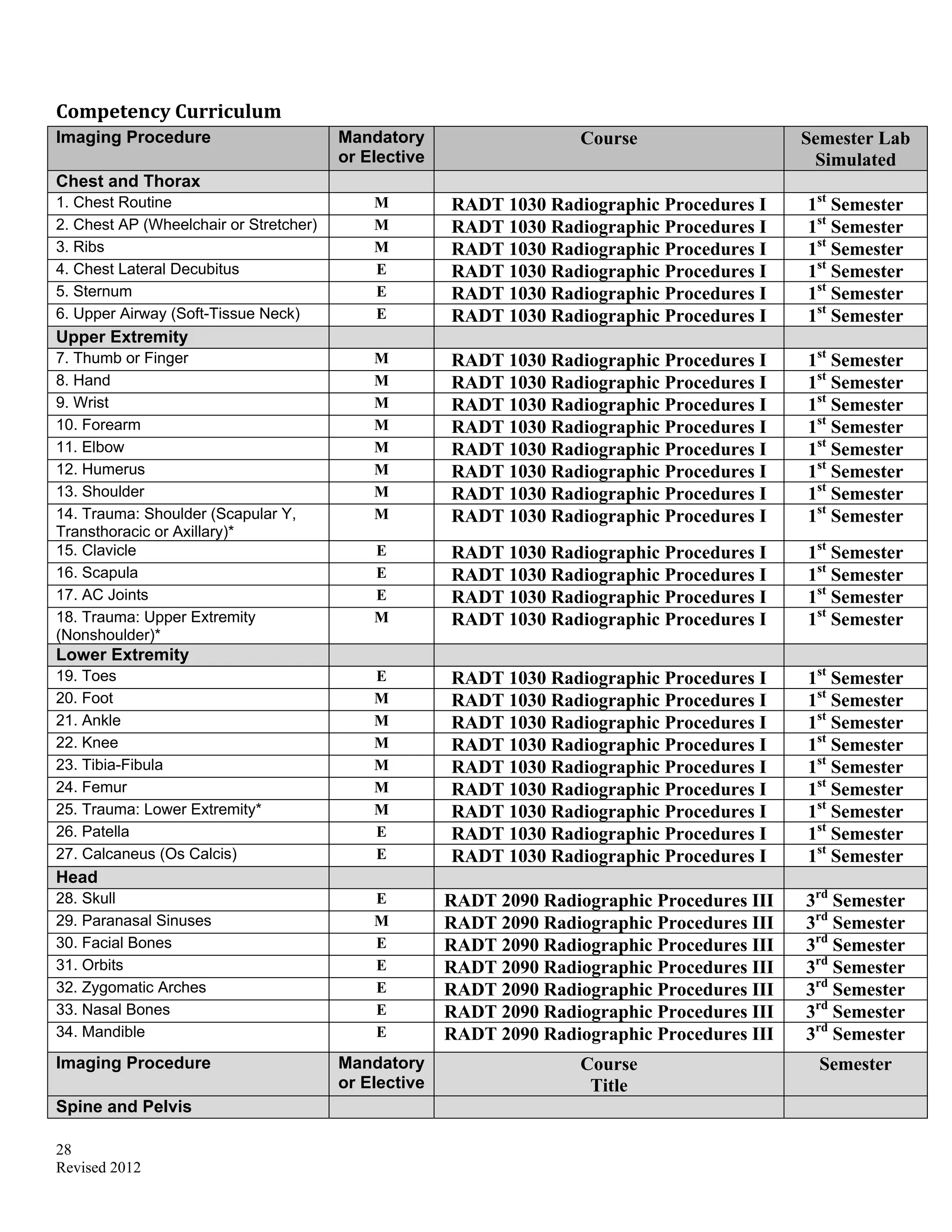 Rad Tech Master Plan | PDF