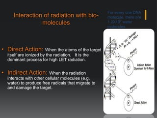 Radiation biology | PPTX
