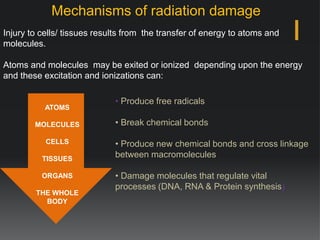 Radiation biology | PPTX