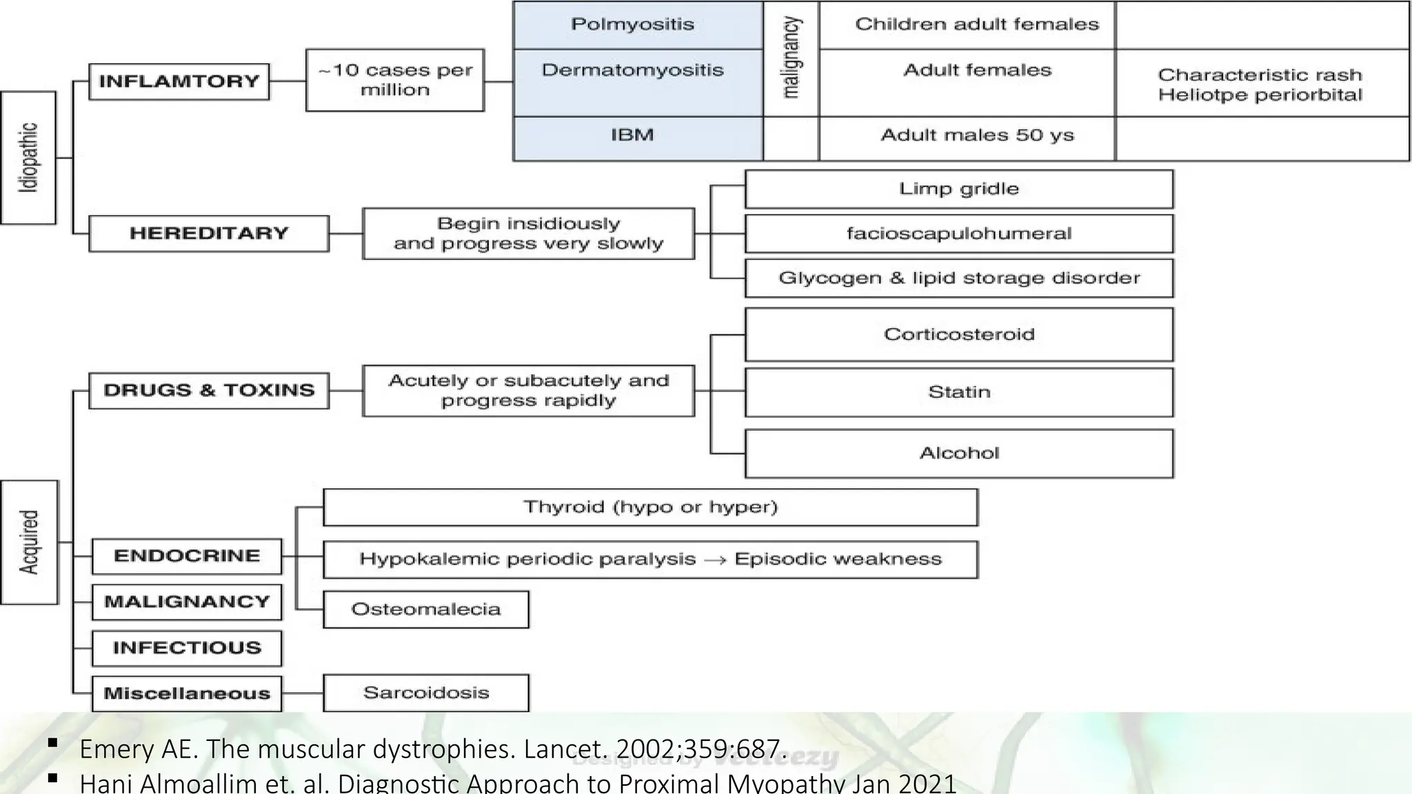 Radiculopathy Vs Neuropathy Vs Myopathy Compilation.pptx