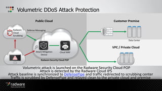Radware Hybrid Cloud Web Application Firewall and DDoS Protection | PDF