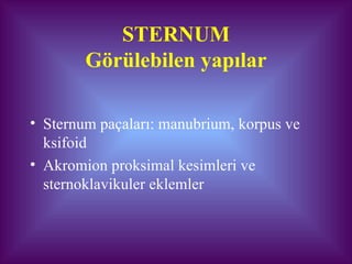 Radyolojik pozisyonlar toraks | PPT