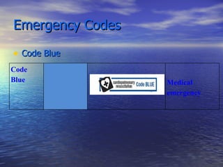 FIRE AND SAFETY | PPT