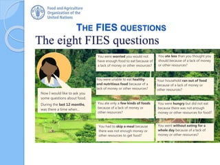 Methodology, challenges and capacity development activities of Tier I ...