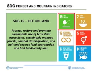 Forests & Mountains Sustainability Indicators | PPTX