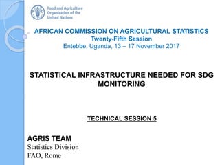 Statistical infrastructure needed for SDG monitoring | PPT