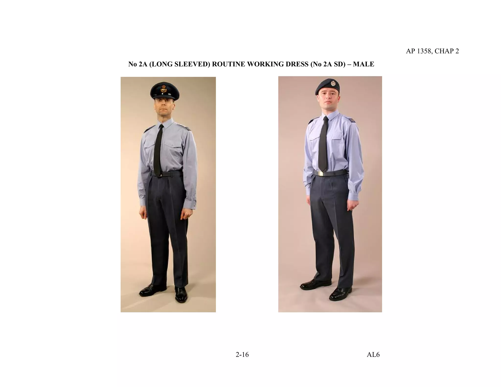 RAF Dress Regulations.pdf